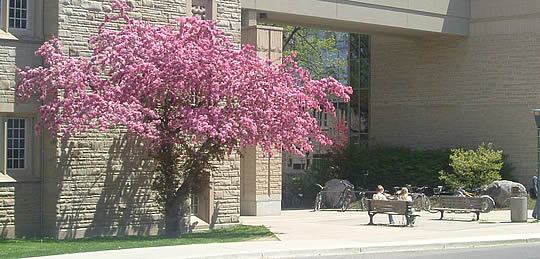 Particle Technology Research Western - Dongbing Li